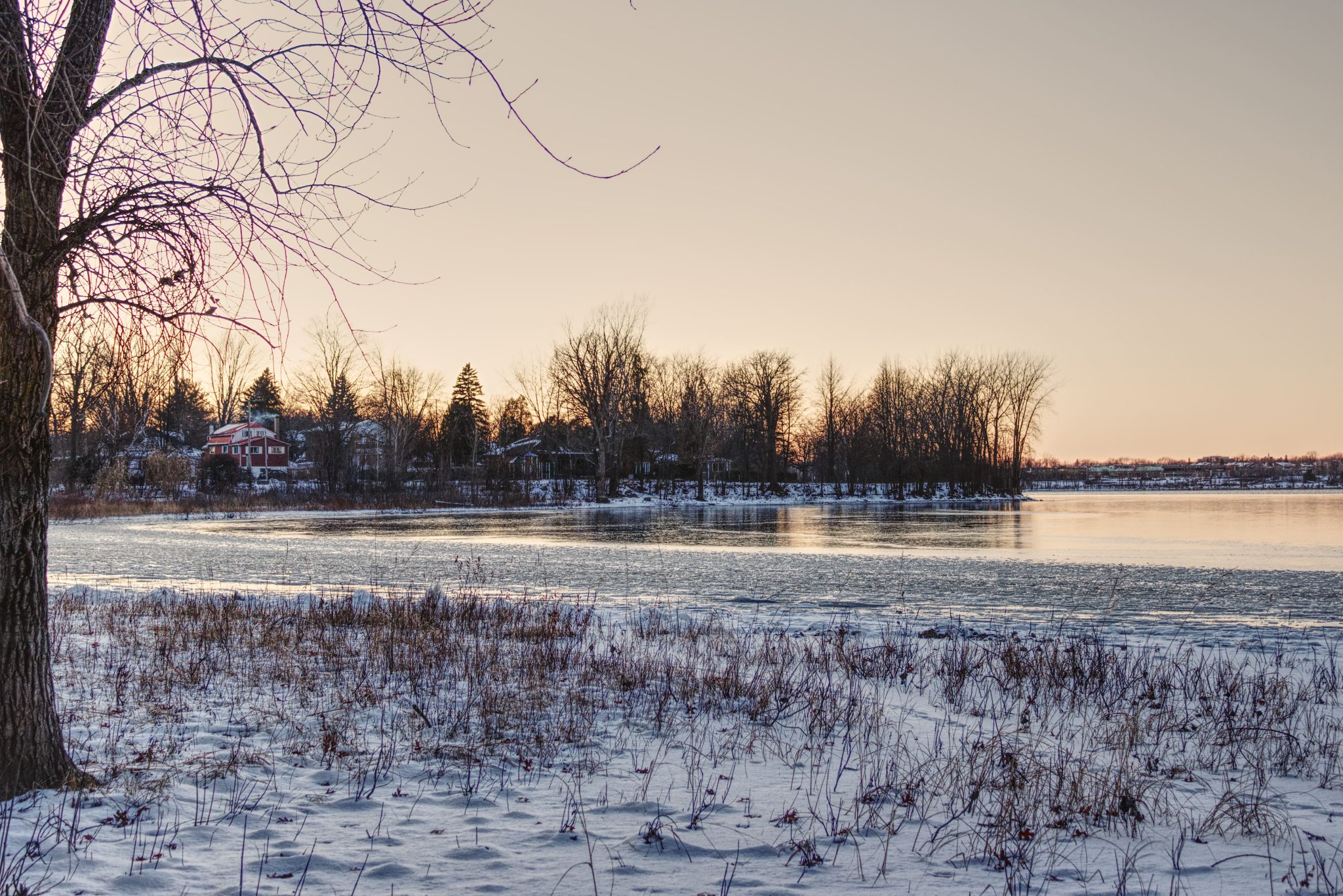 ≪二十四節気通信≫ 小雪（しょうせつ） | 【公式】Coyori（こより）｜国産オーガニックコスメ・自然派化粧品の通販
